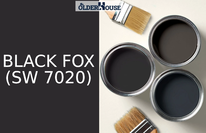 Sherwin Williams Black Fox-SW 7020: Full Color Review & Home Ideas